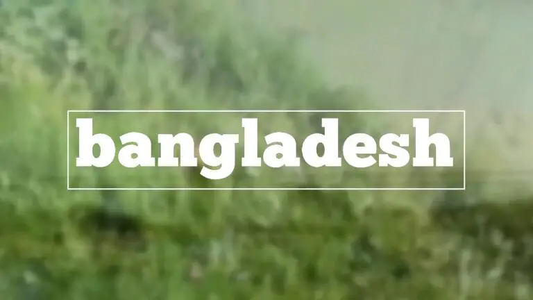 How To Verify Tin Number Online In Bangladesh How To Verify Tin Number Online In Bangladesh